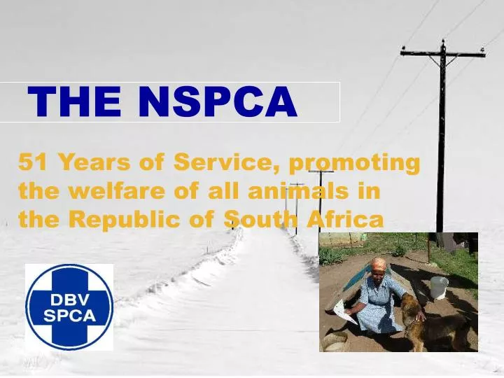 PPT - THE NSPCA PowerPoint Presentation, free download - ID:5009434