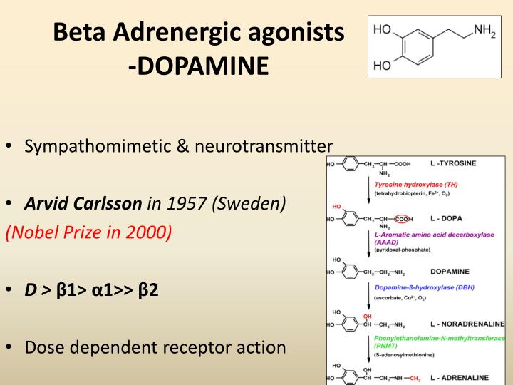 PPT - CARDIAC INOTROPES PowerPoint Presentation - ID:5013599