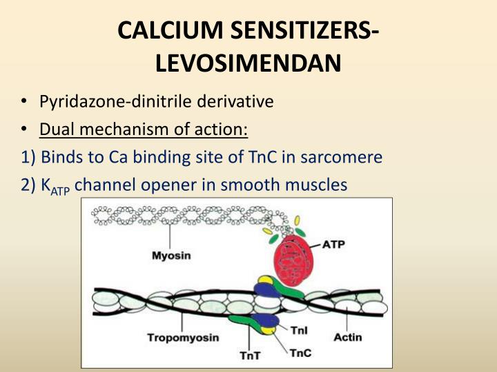 PPT - CARDIAC INOTROPES PowerPoint Presentation - ID:5013599