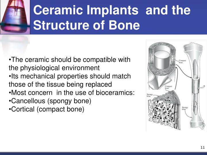 PPT - Fundamentals of BIOMATERIALS PowerPoint Presentation - ID:5015901