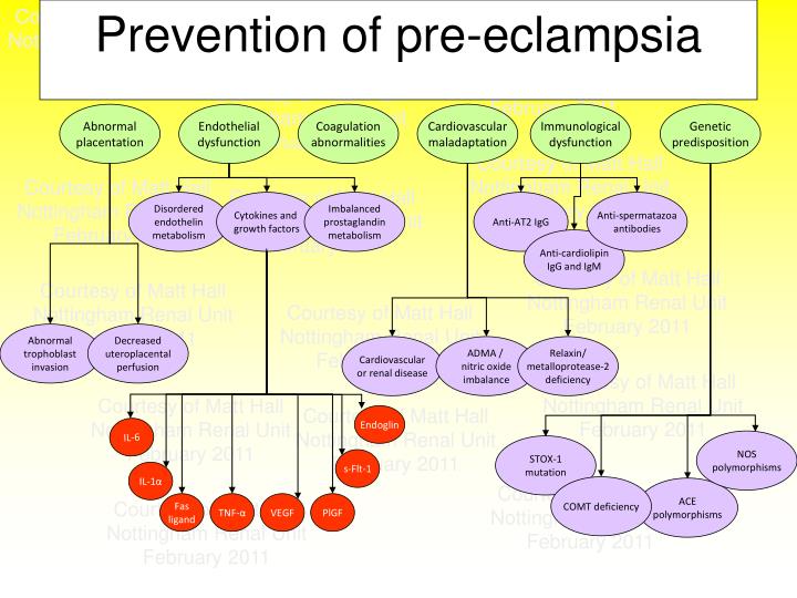 PPT - Pre-eclampsia PowerPoint Presentation - ID:5020573