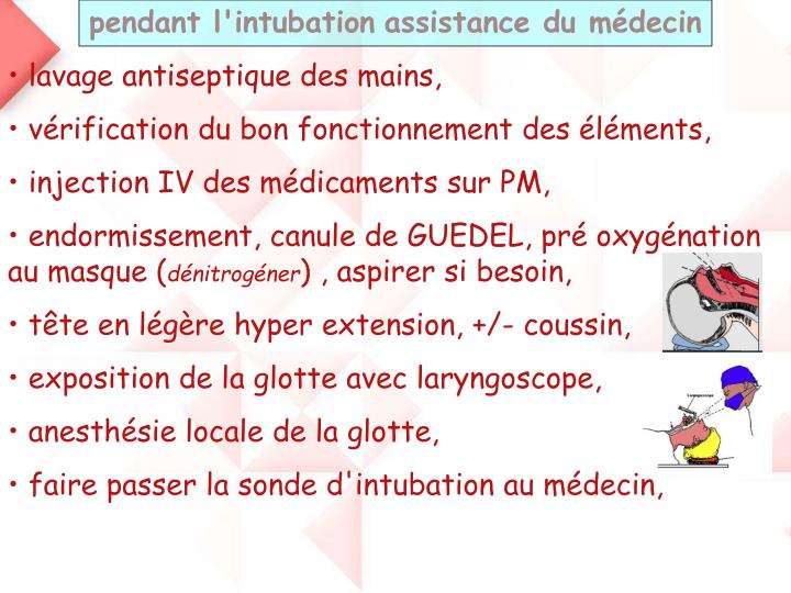 PPT - L’INTUBATION PowerPoint Presentation - ID:5021419