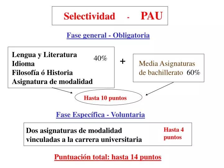PPT - Selectividad - PAU PowerPoint Presentation, free download - ID:5023005