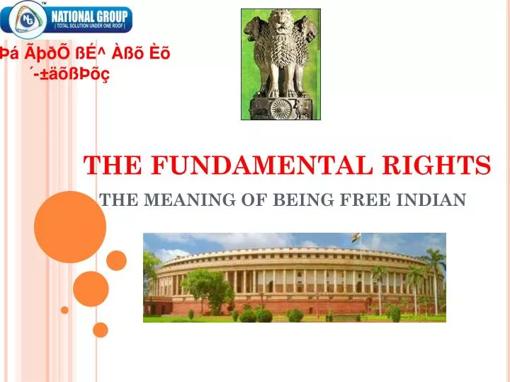 PPT - THE FUNDAMENTAL RIGHTS PowerPoint Presentation - ID:5023914