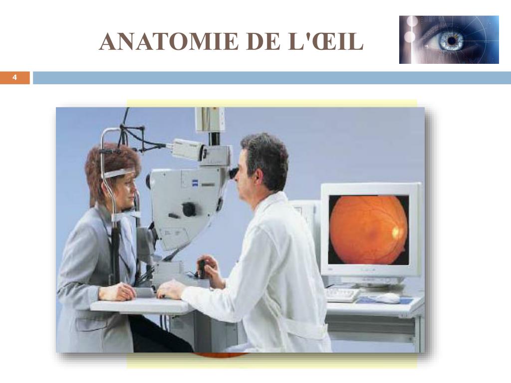 PPT - Restoration DES IMAGES DE LA RéTINE HUMAINE PAR LA DIFFUSION ...