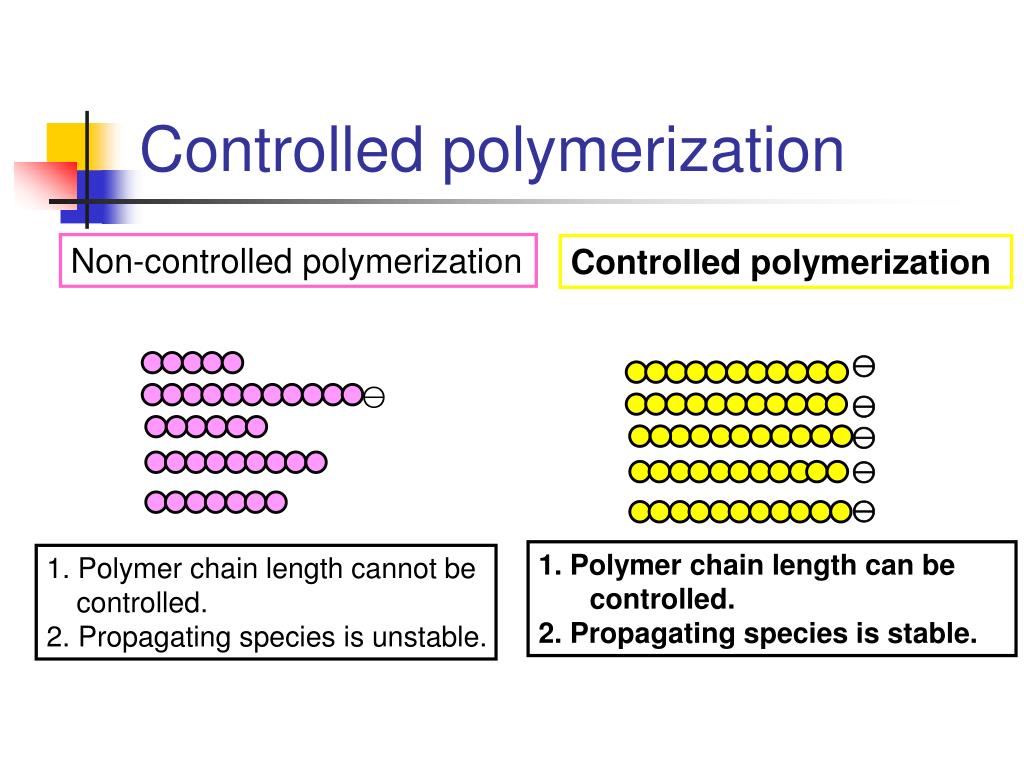 PPT - Lisa Nakajima , Yuiko Kikuchi, Hisatoyo Morinaga * Department of ...
