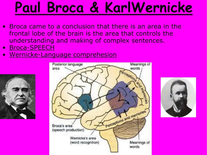 PPT - Famous Psychologists PowerPoint Presentation - ID:5032116