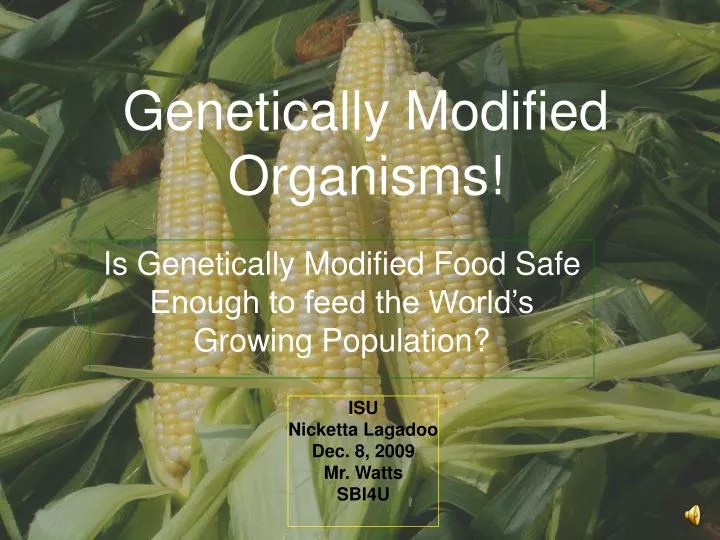 PPT - Genetically Modified Organisms! PowerPoint Presentation, free ...