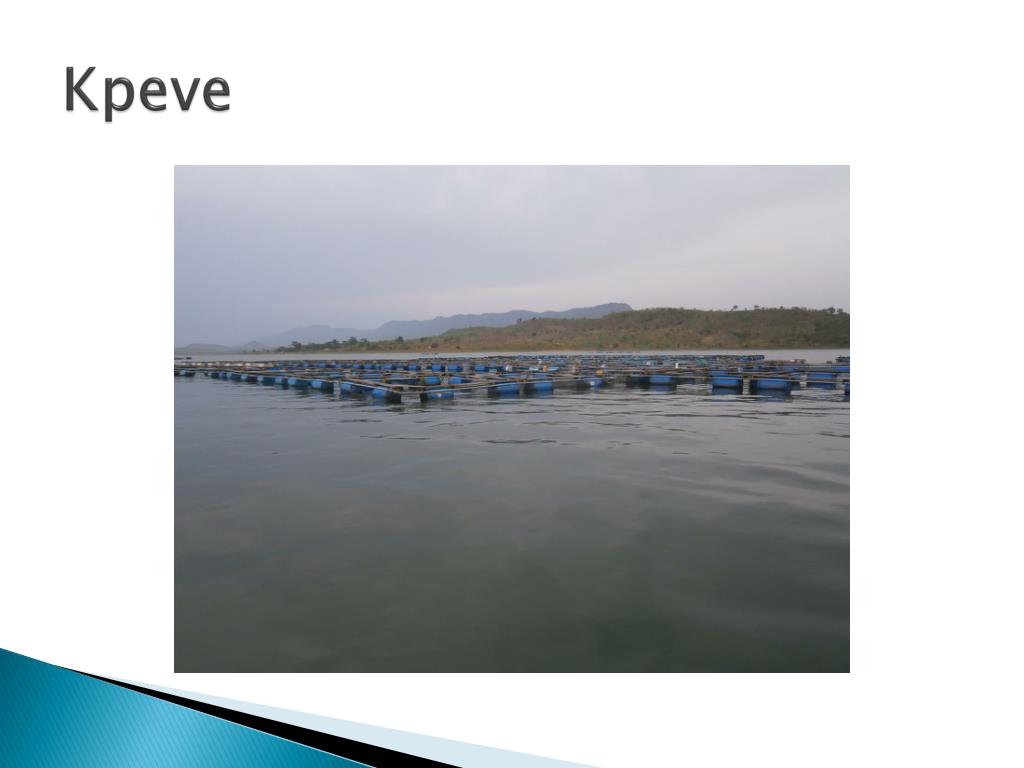 PPT - A PLAN FOR IMPROVED AND SUSTAINABLE CAGE AQUACULTURE IN LAKE ...