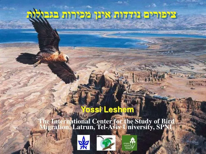 PPT - Yossi Leshem PowerPoint Presentation, free download - ID:5041172