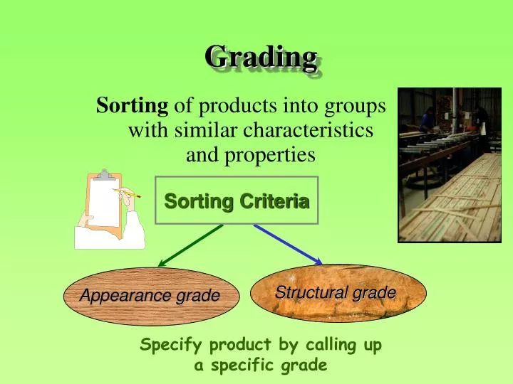 PPT - Grading PowerPoint Presentation, free download - ID:5041762