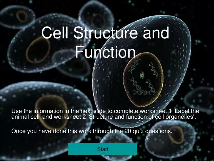 PPT - Cell Structure and Function PowerPoint Presentation, free ...