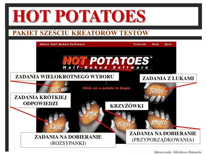 PPT - HOT POTATOES PowerPoint Presentation, free download - ID:5045769