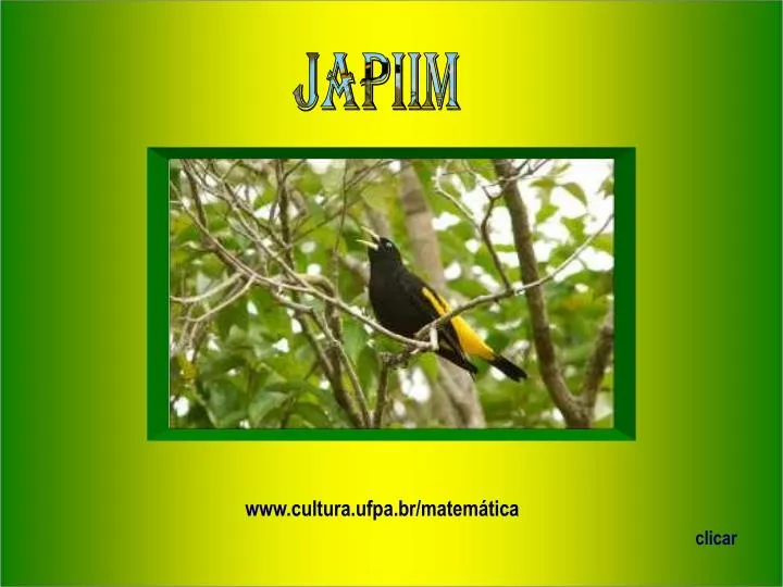PPT - JAPIIM PowerPoint Presentation, free download - ID:5045956
