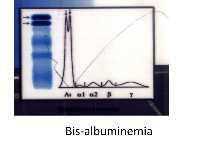 Albuminemia