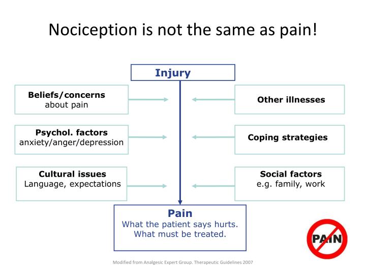 PPT - ESSENTIAL PAIN MANAGEMENT PowerPoint Presentation - ID:5048547