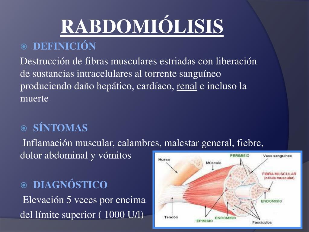 PPT - RABDOMIÓLISIS POR SPINNING PowerPoint Presentation, free download ...