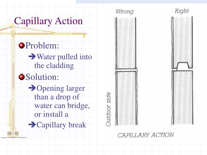 PPT - Chapter 19 Designing Cladding systems PowerPoint Presentation ...
