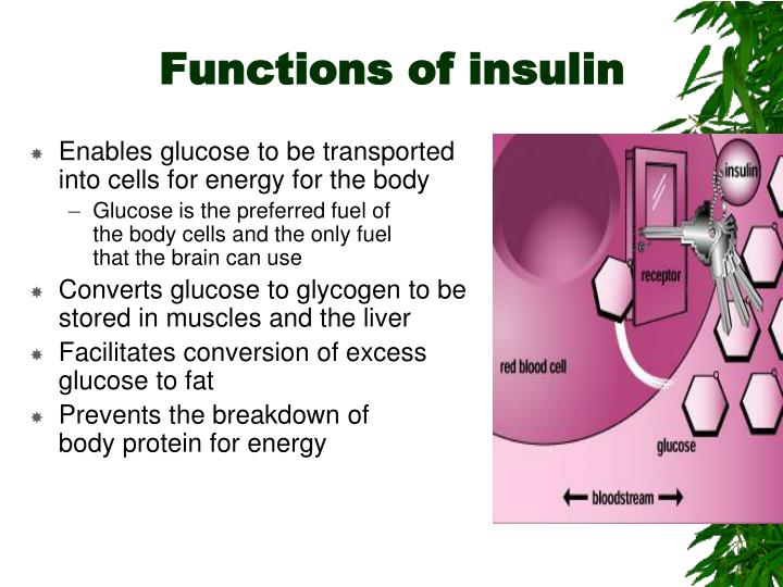 PPT - Pathophysiology of Diabetes PowerPoint Presentation - ID:5054028