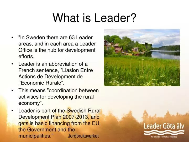 PPT - What is Leader? PowerPoint Presentation, free download - ID:5054893