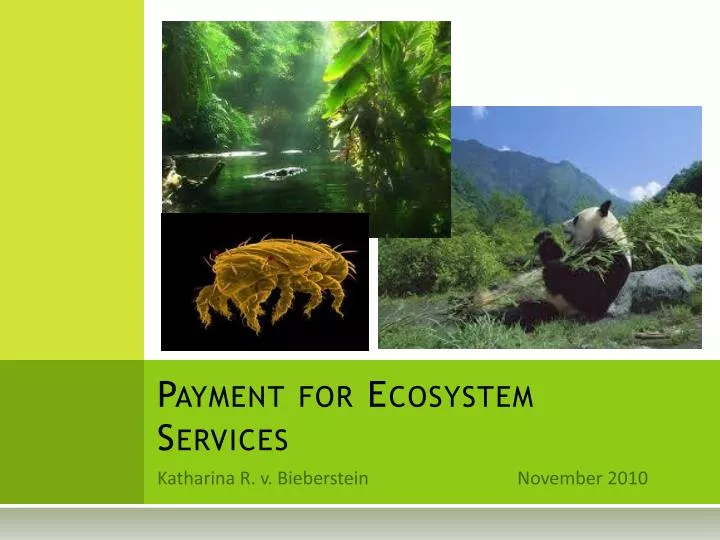 PPT - Payment for Ecosystem Services PowerPoint Presentation, free ...
