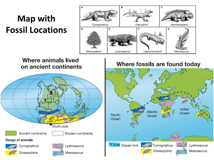 PPT - Continental Drift & Plate Tectonics PowerPoint Presentation - ID ...