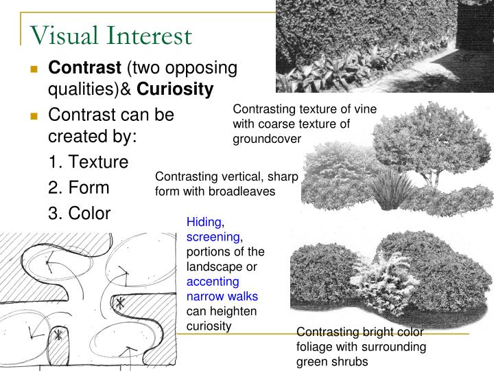 PPT - Landscape Architecture (EAPS4303) Lecturer 6/2 Landscape Design ...
