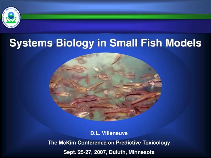 PPT - Systems Biology in Small Fish Models PowerPoint Presentation ...