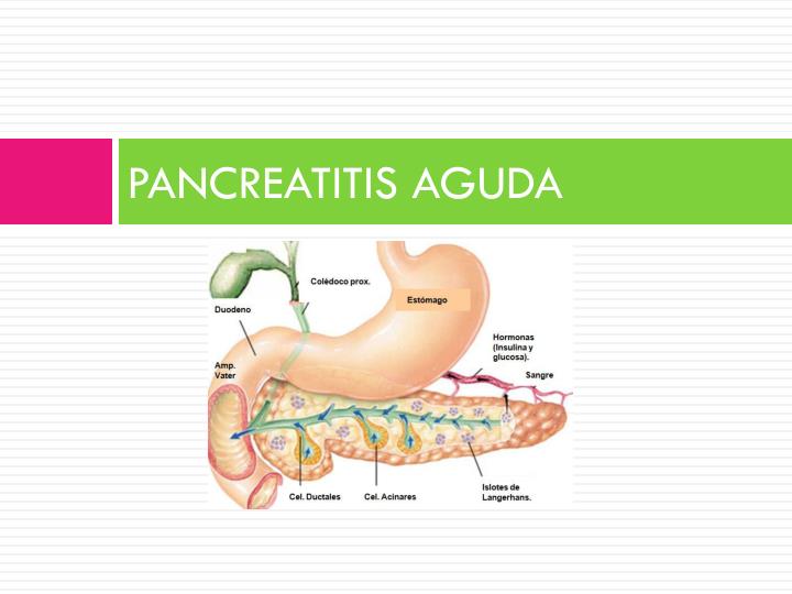 PPT - PANCREATITIS AGUDA Y CRÓNICA PowerPoint Presentation - ID:5057901