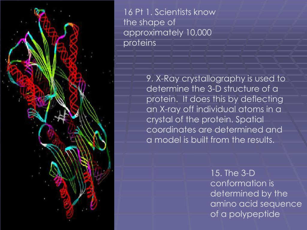 PPT - Tommy Lasater Justyn Encinas Meghan Bracy Kirsten Hudson Lisa ...