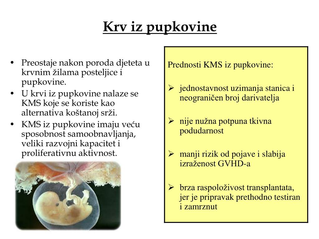 PPT - Organizacija Nacionalne banke krvi iz pupkovine PowerPoint Presentation - ID:5060896