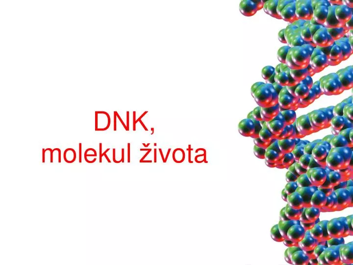 PPT - DNK , molekul ž ivota PowerPoint Presentation, free download - ID ...