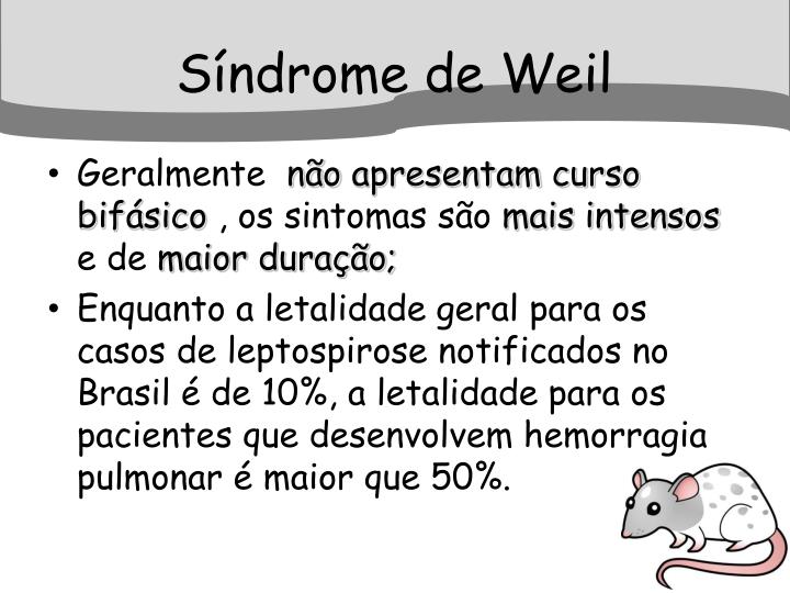 PPT - Leptospirose PowerPoint Presentation - ID:5064991