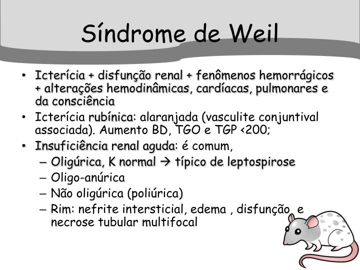 PPT - Leptospirose PowerPoint Presentation - ID:5064991