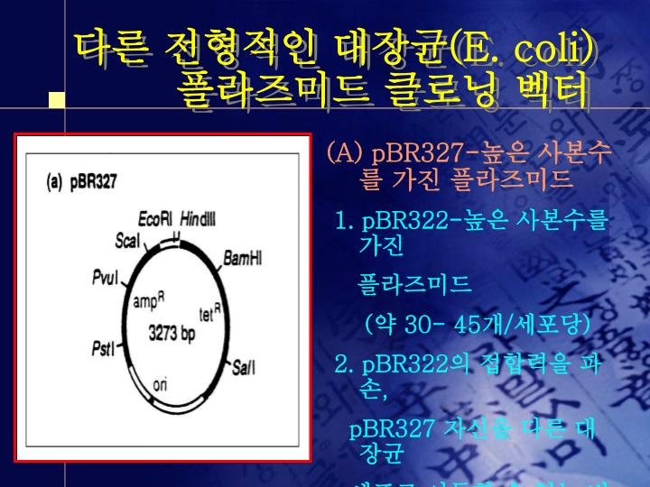 PPT - 대장균의 클로닝 벡터 PowerPoint Presentation - ID:5065543