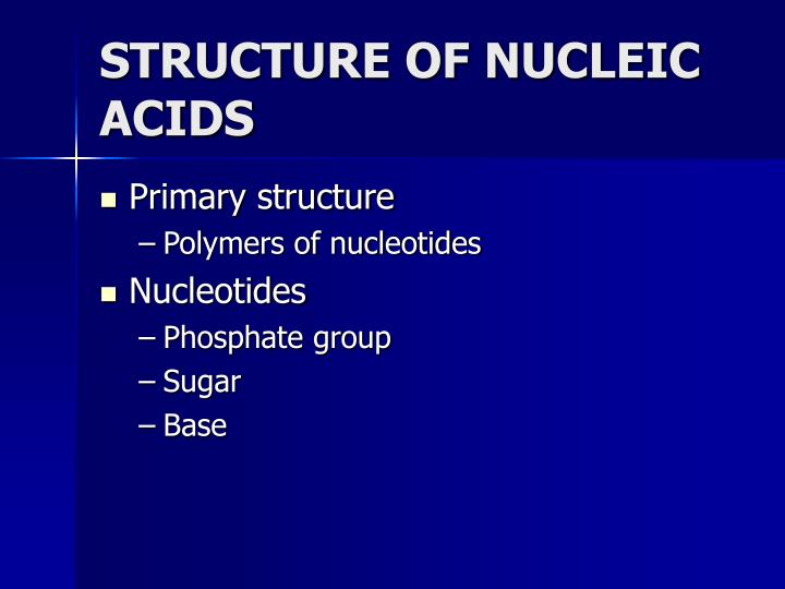 PPT - Fundamentals of Nucleic Acid Biochemistry: DNA PowerPoint ...