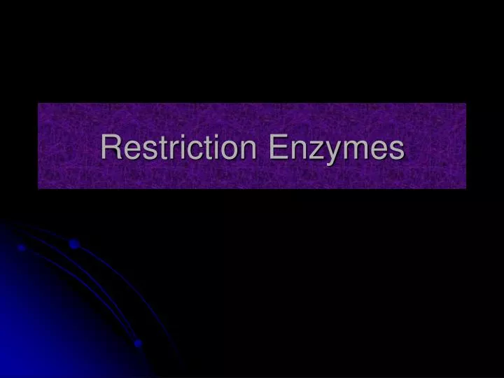PPT - Restriction Enzymes PowerPoint Presentation, free download - ID ...