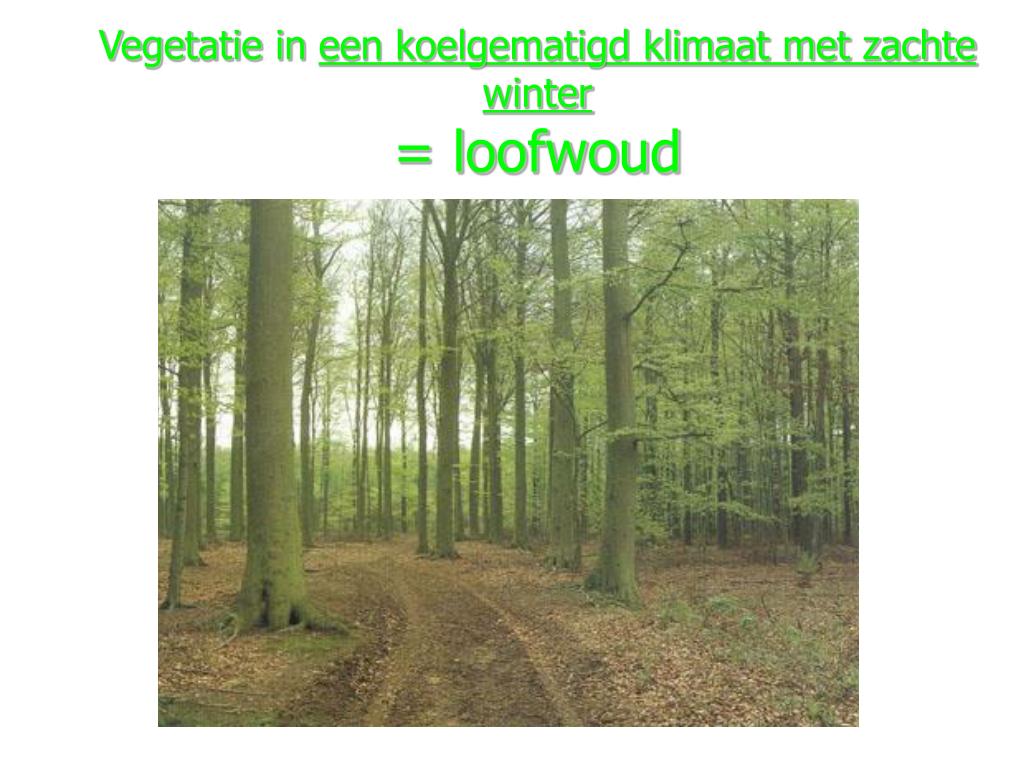 PPT - Klimaten in de wereld PowerPoint Presentation, free download - ID ...