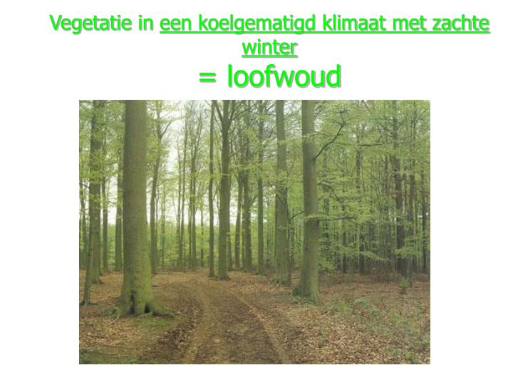 PPT - Klimaten in de wereld PowerPoint Presentation - ID:5067205