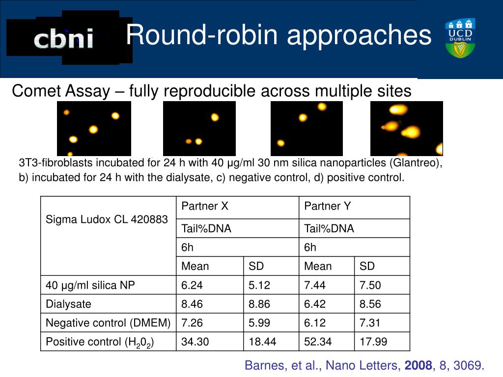 PPT - Prof. Kenneth Dawson Centre for BioNano Interactions PowerPoint ...