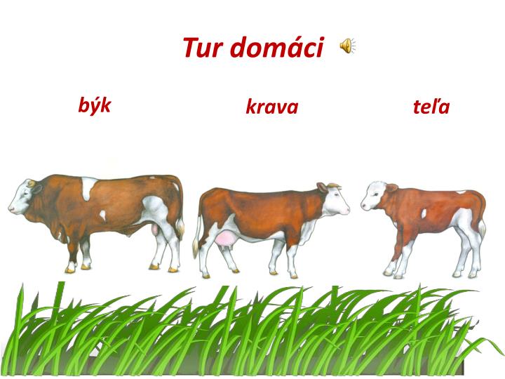 PPT - Domáce zvieratá a ich mláďatá PowerPoint Presentation - ID:5069638
