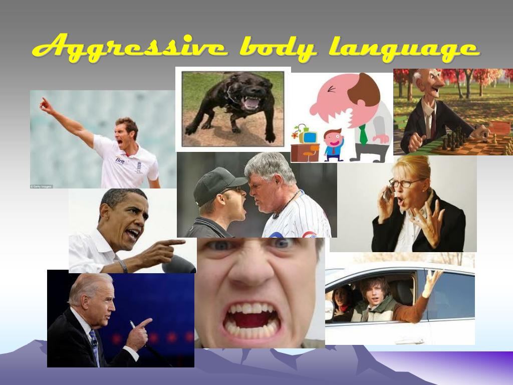 PPT Body Language PowerPoint Presentation Free Download ID 5069922