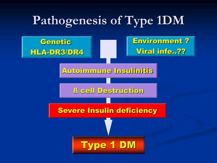 PPT - Diabetes Mellitus PowerPoint Presentation - ID:5074845