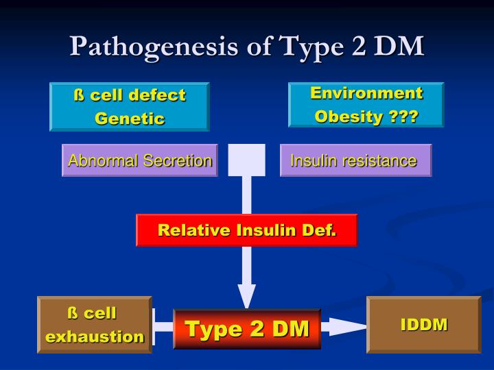 PPT - Diabetes Mellitus PowerPoint Presentation - ID:5074845