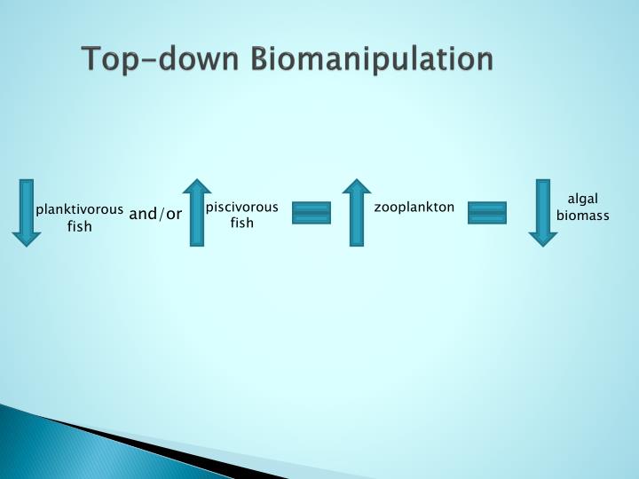 PPT - Top-down Biomanipulation and the Restoration of Eutrophied Lakes ...