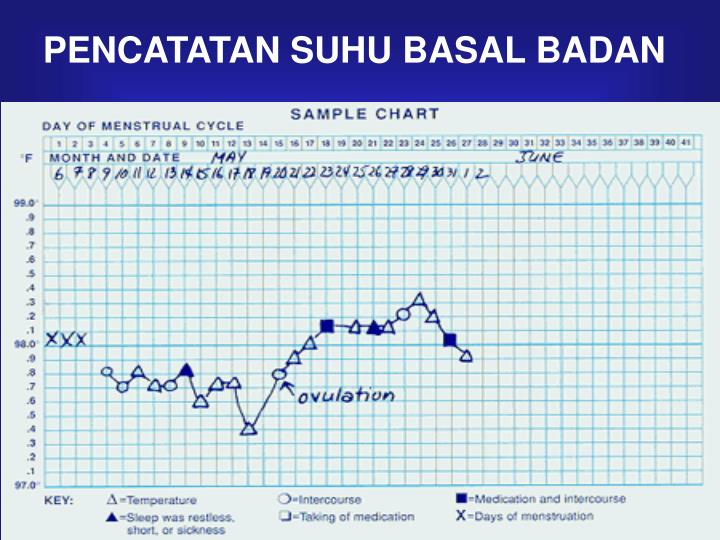 PPT - INFERTILITAS PowerPoint Presentation - ID:5078824