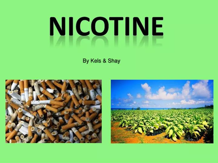 PPT - Nicotine PowerPoint Presentation, free download - ID:5080954