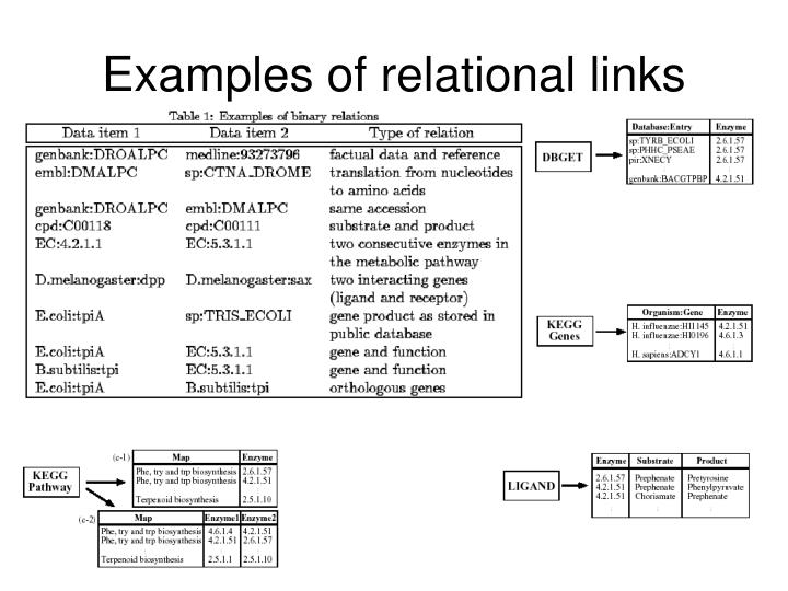 PPT - Pathway databases PowerPoint Presentation - ID:5081341