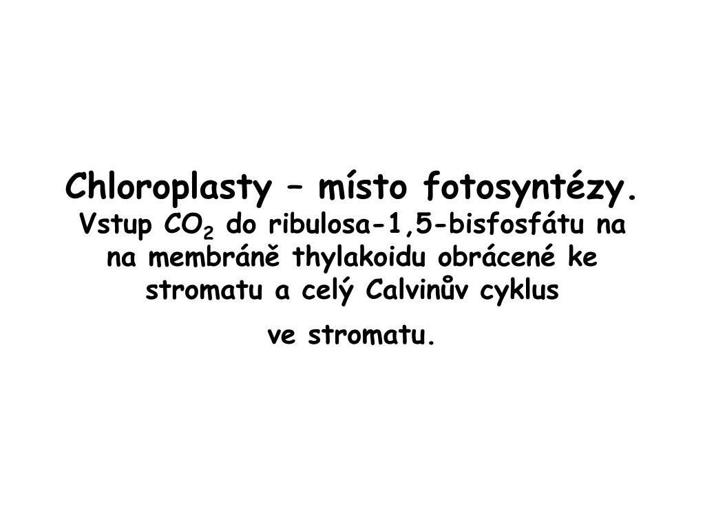 PPT - Calvinův cyklus a pentosafosfátová dráha. PowerPoint Presentation ...