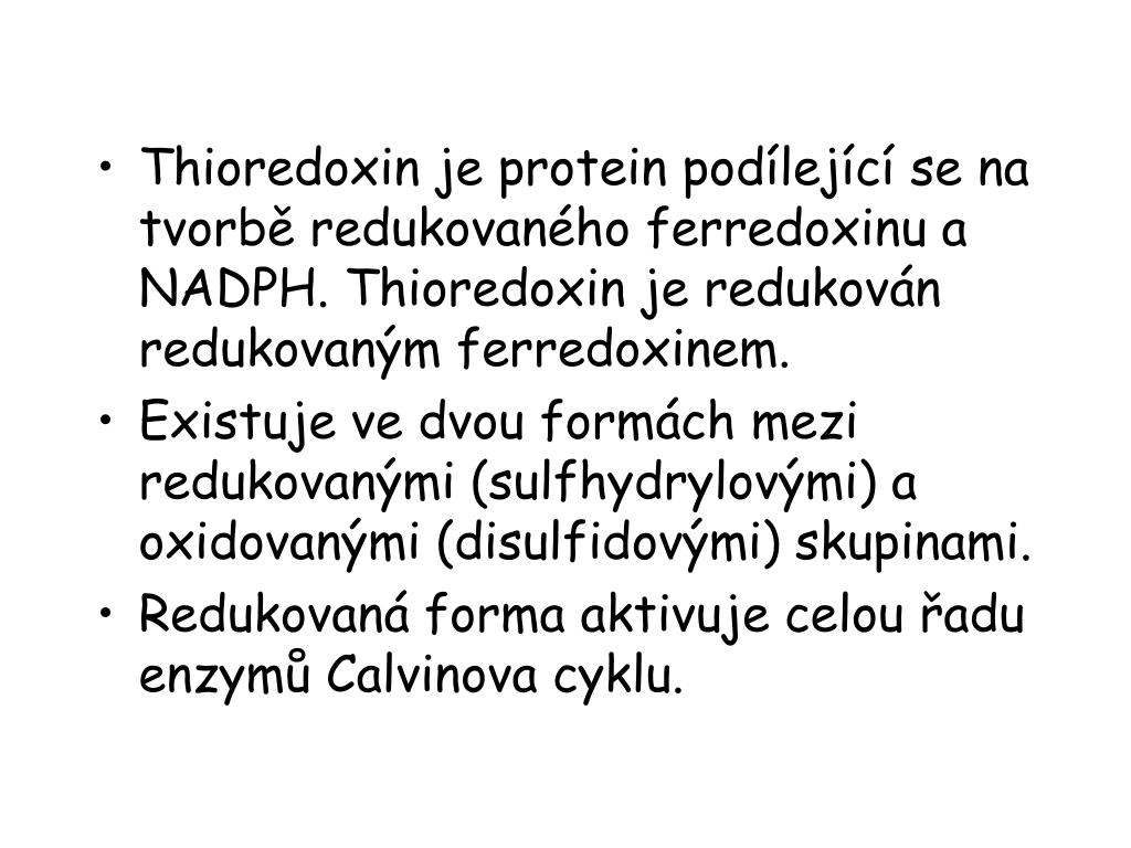 PPT - Calvinův cyklus a pentosafosfátová dráha. PowerPoint Presentation ...